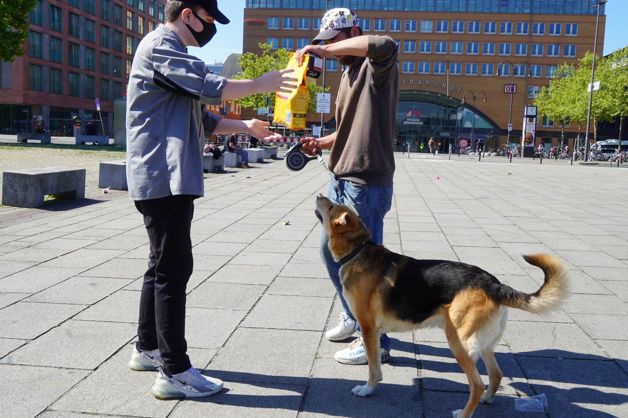Supporting Communities to Help End Pet Homelessness | Mars Global